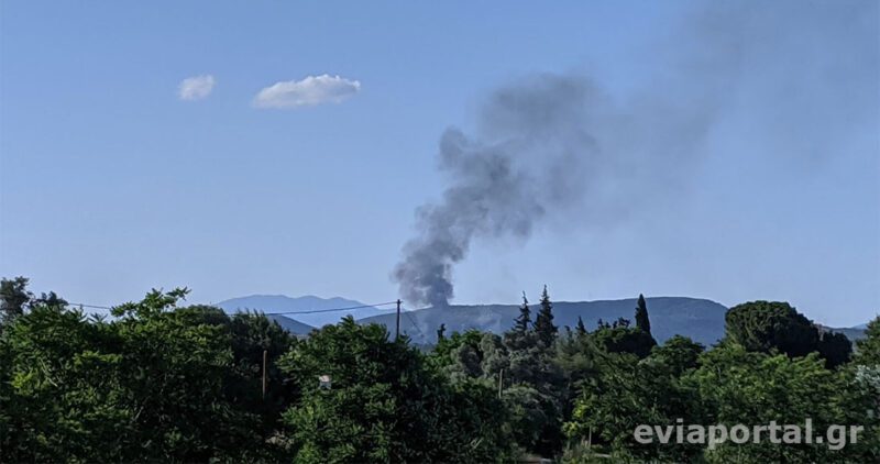 Φωτιά στον ΧΥΤΑ Χαλκίδας - Eviaportal.gr