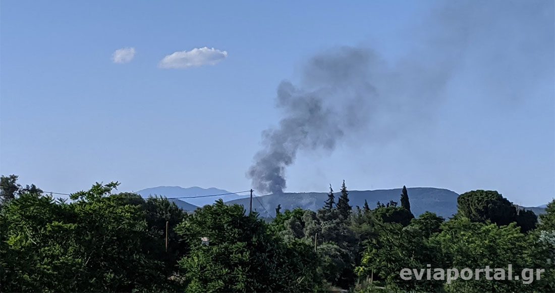 Φωτιά στον ΧΥΤΑ Χαλκίδας - Eviaportal.gr