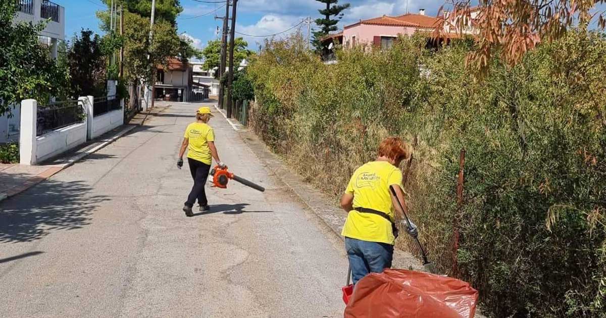 Εργασίες στην δημοτική κοινότητα Ανθηδόνας - Eviaportal.gr