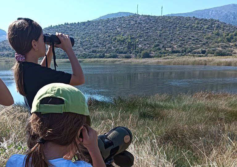 Η γιορτή των πουλιών στην πόλη της Χαλκίδας - Eviaportal.gr